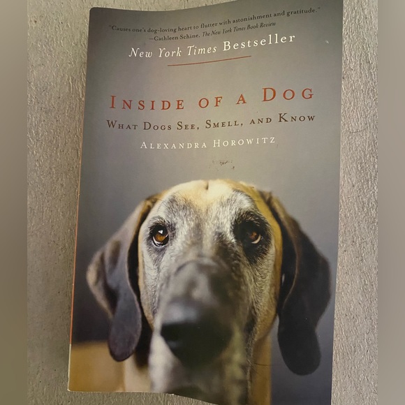 Dog | Inside Of A Dog | Poshmark